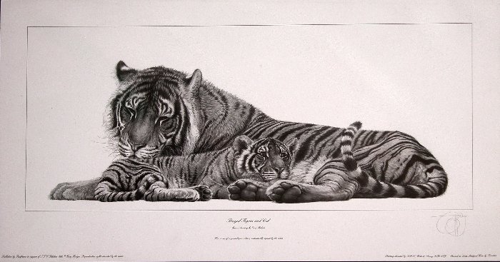 Gary Hodges Pictures